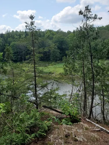 2023 Best River Trails in Red Bridge | AllTrails