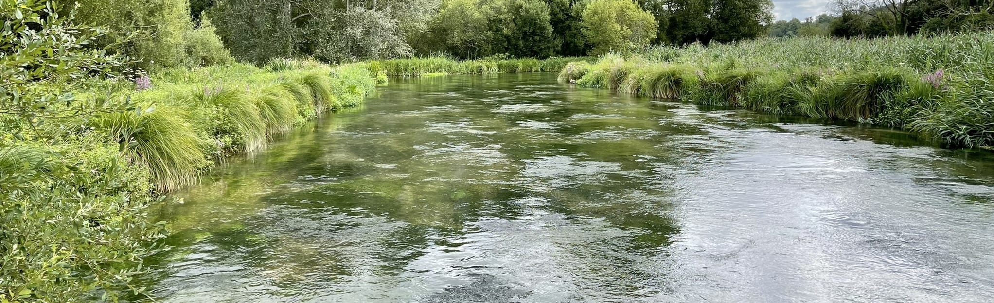 Three Castles Path: Lower Wield to Winchester, Hampshire, England - 7 ...