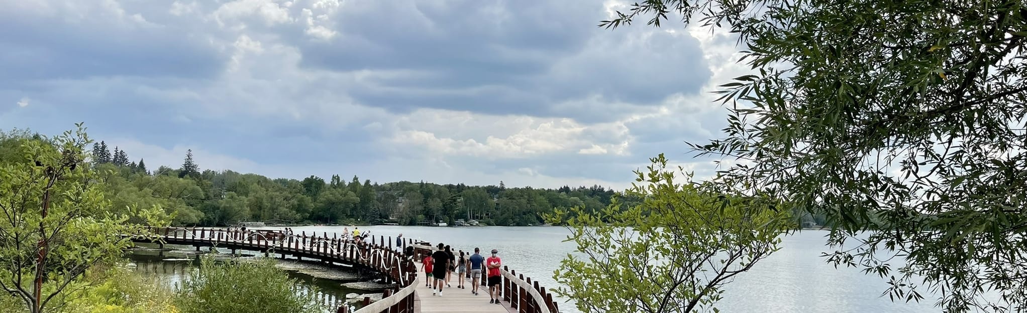 Lake Wilcox Park Loop, Ontario, Canada - 188 Reviews, Map | AllTrails