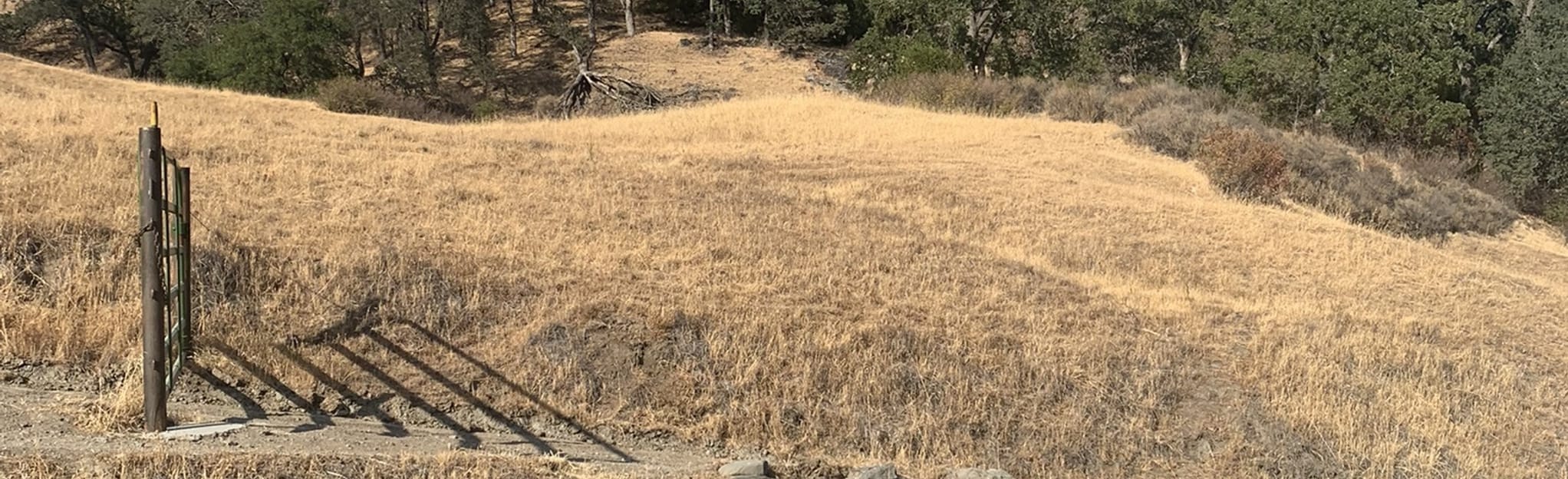 Camp Ohlone Road: 370 Reviews, Map - California | AllTrails