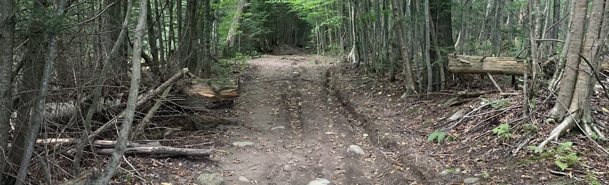Parc des Deux-Ruisseaux : 17 Photos - Québec, Canada | Randonnée ...
