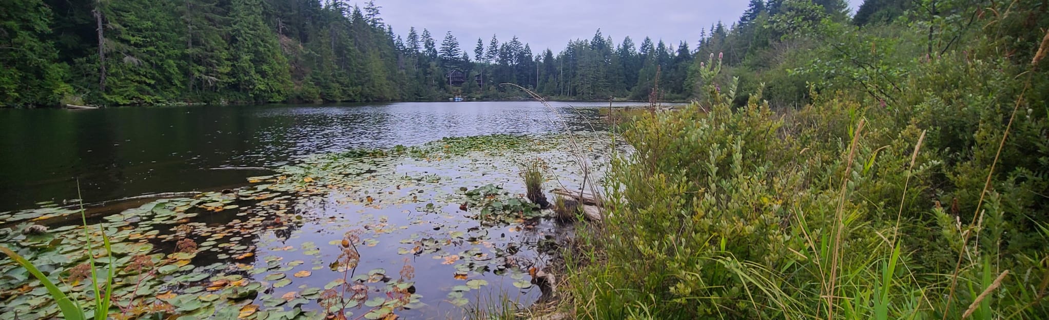 Broom Hill and Kemp Lake via Wetland Trail - British Columbia, Canada ...