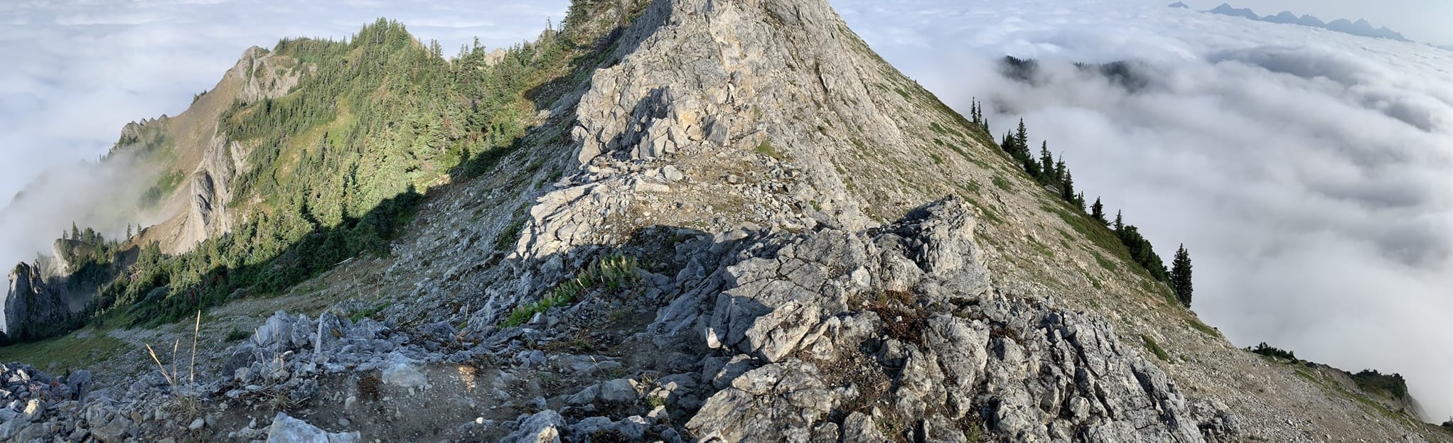 AllTrails | Mount McGuire via Borden Creek FSR: 37 Reviews, Map ...