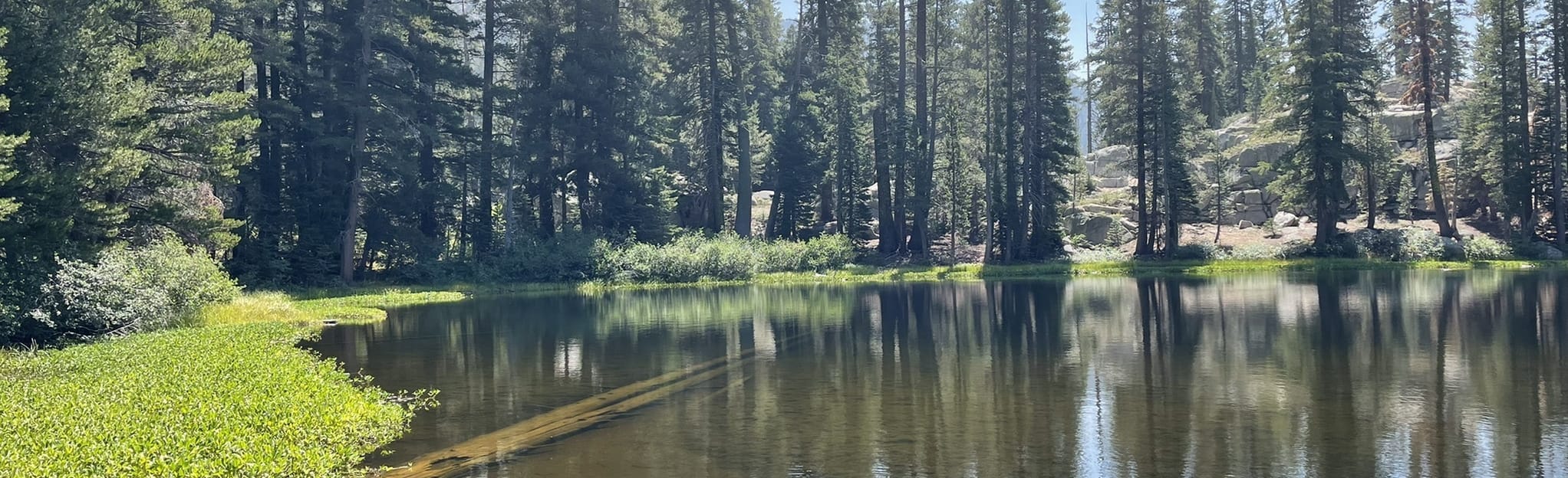 Disaster Creek Loop Trail: 31 Reviews, Map - California | AllTrails