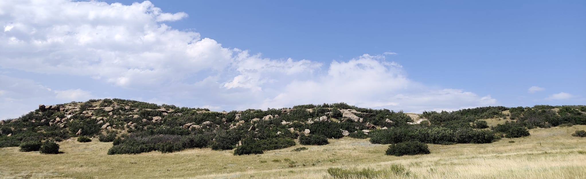 Glendale Farm Trail: 123 fotos - Colorado | AllTrails