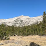 Mount Conness East Ridge, California - 172 Reviews, Map | AllTrails