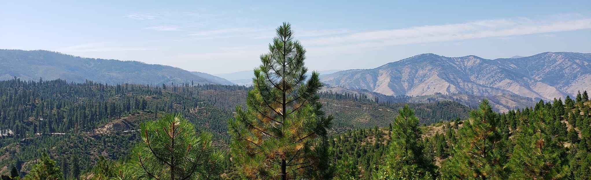 Elkhorn Loop, Idaho - 22 Reviews, Map | AllTrails