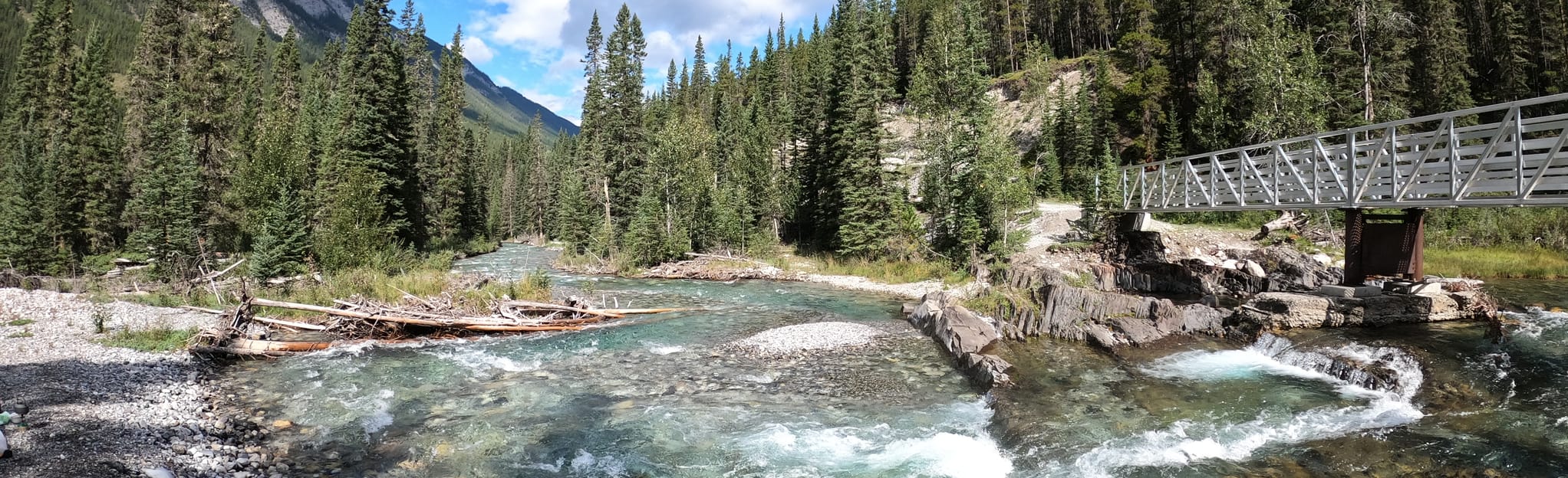 Spray Loop Trail: 533 Reviews, Map - Alberta, Canada | AllTrails