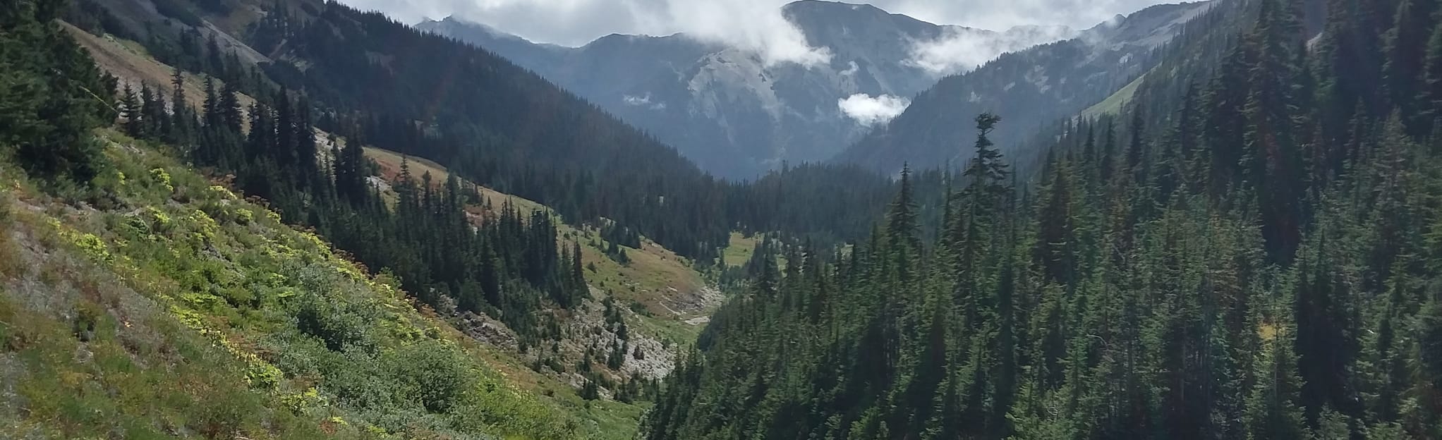 Elk Mountain Trail Loop, Washington - 96 Reviews, Map | AllTrails
