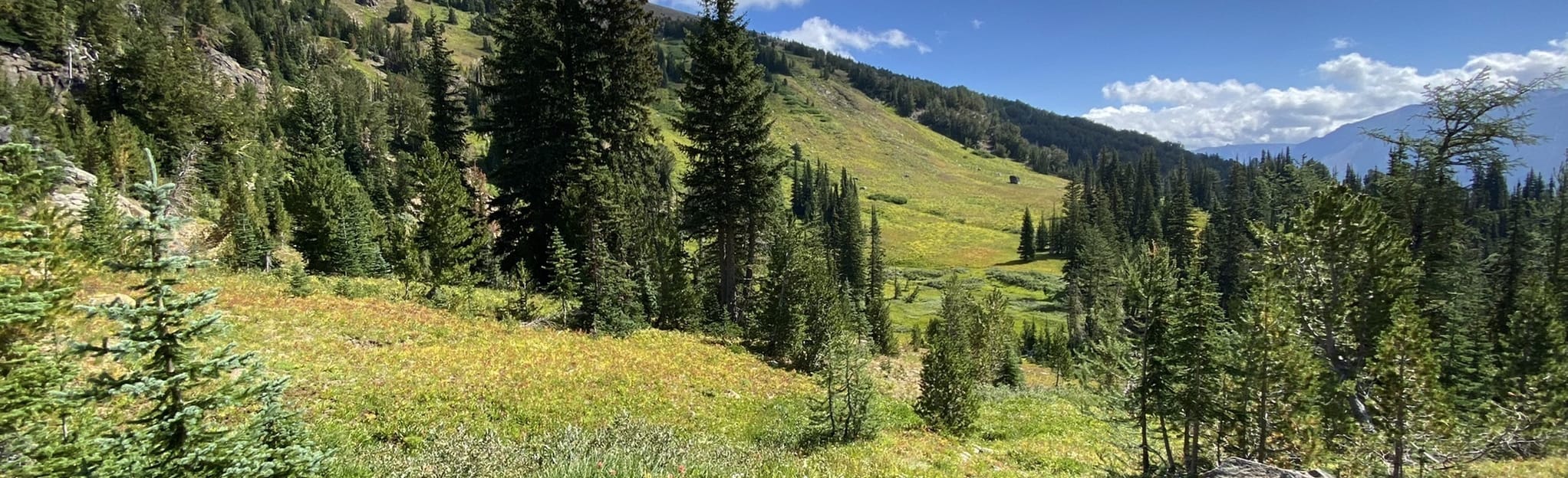 Cashmere Mountain, Washington - 90 Reviews, Map | AllTrails