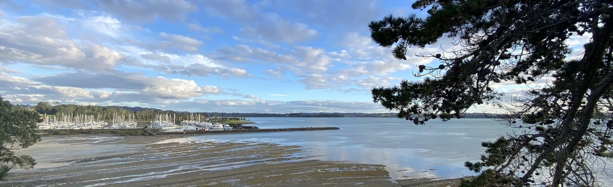 Lachies Walk Beachlands, Auckland, New Zealand - 7 Reviews, Map | AllTrails