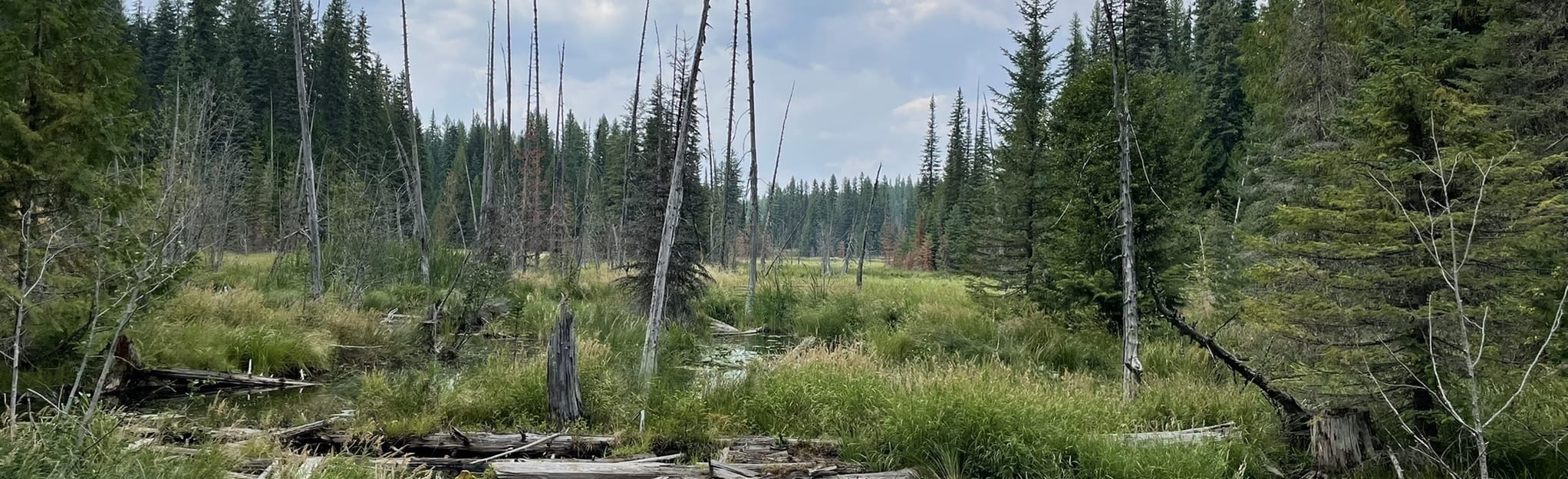 Champion Middle Lake Loop: 11 Reviews, Map - British Columbia, Canada ...