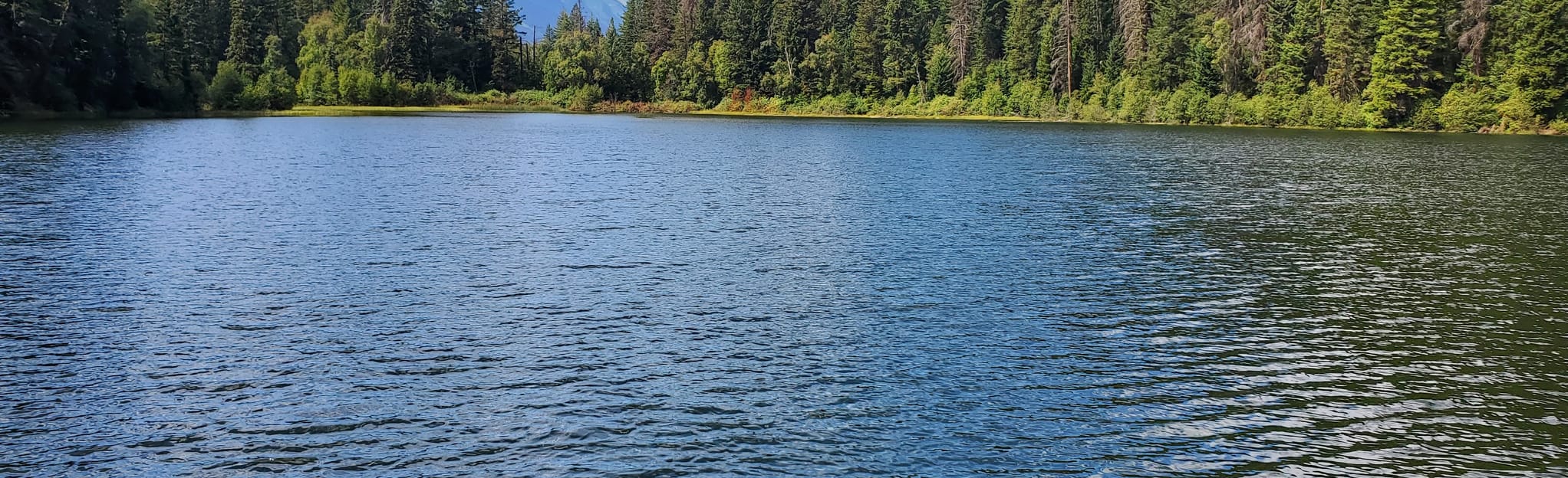 Little Lost Lake Trail: 58 Reviews, Map - British Columbia, Canada ...