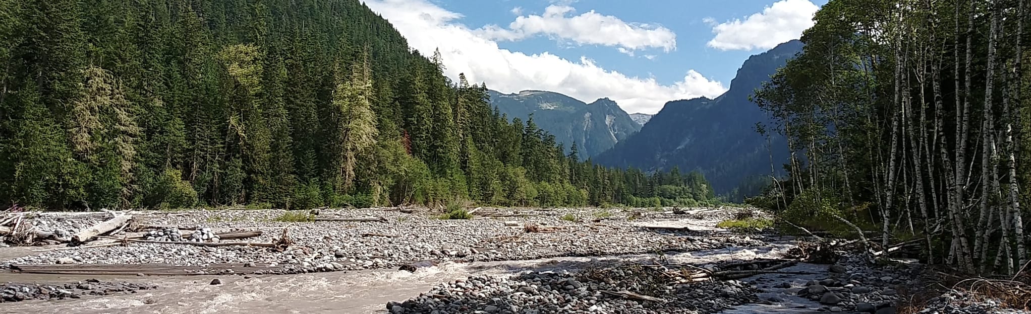 Ipsut Creek Campground via Carbon River Trail: 932 foto's - Washington ...