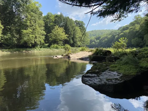 Best Forest Trails in Sigel | AllTrails