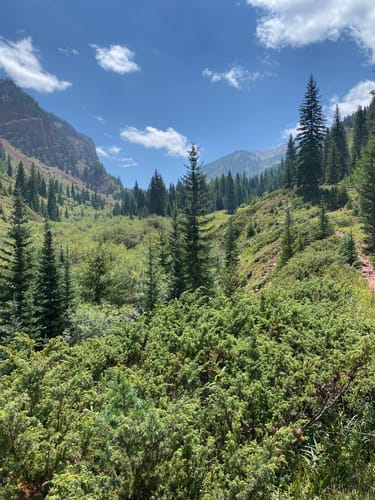 Best Hikes and Trails in Snowmass | AllTrails