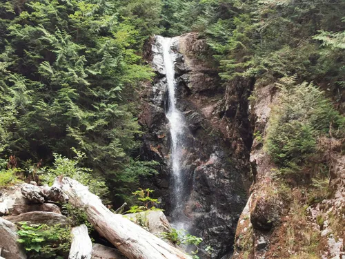 Best Lake Trails in Lynn Headwaters Regional Park | AllTrails