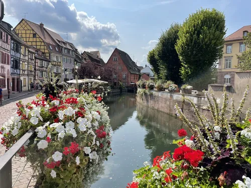 Best Hikes and Trails in Colmar | AllTrails