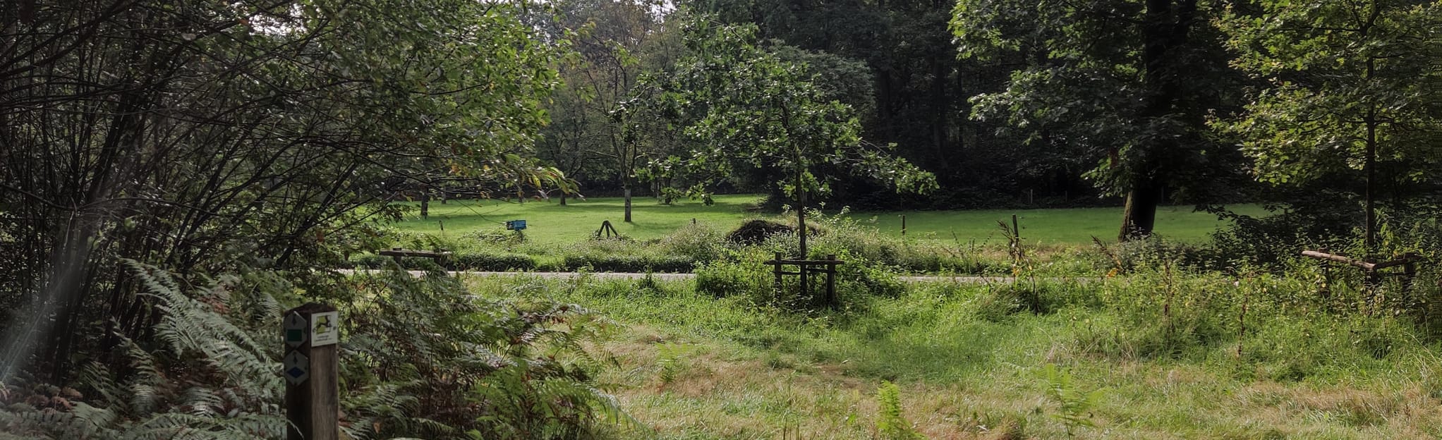 Hengelhoef Groene rechthoek, Limburg, Belgium - Map, Guide | AllTrails