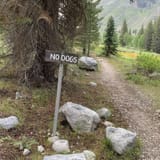 Cold Springs Nature Trail, California - 72 Reviews, Map | AllTrails