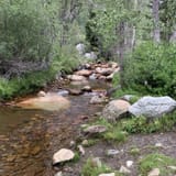 Cold Springs Nature Trail, California - 72 Reviews, Map | AllTrails