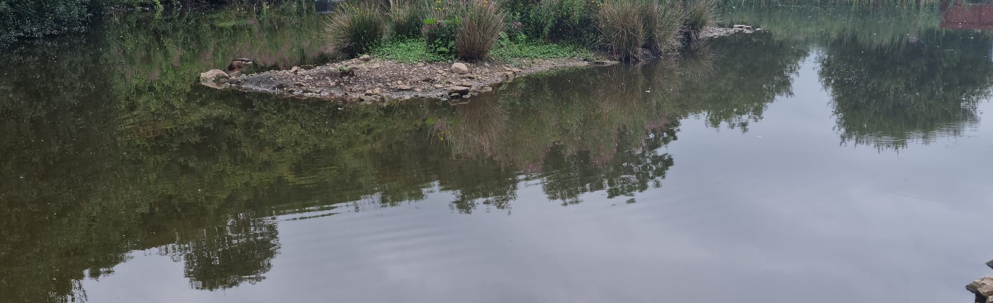 Carnmoney Hill Wood Circular: 19 Reviews, Map - Antrim, Northern ...