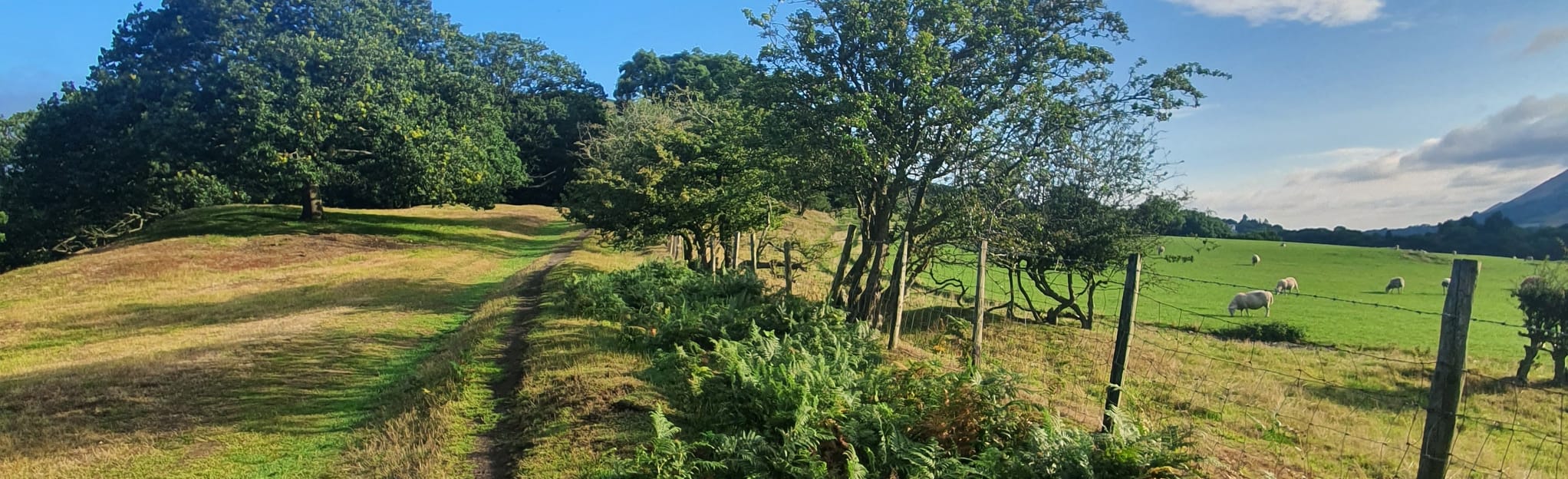Ragleth Hill and Church Stretton Circular: 15 Reviews, Map - Shropshire ...