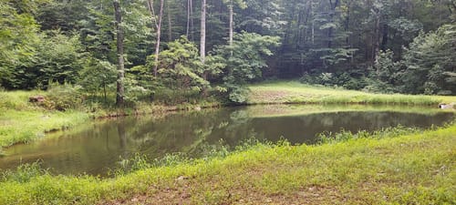 2023 Best trails in Rapidan Wildlife Management Area | AllTrails