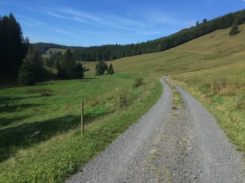 Todtnau : les 10 meilleures randonnées et itinéraires | AllTrails