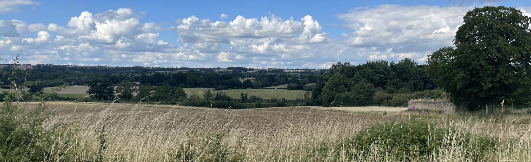 Chadlington, Charlbury, and Dean Grove Circular: 2 Reviews, Map ...