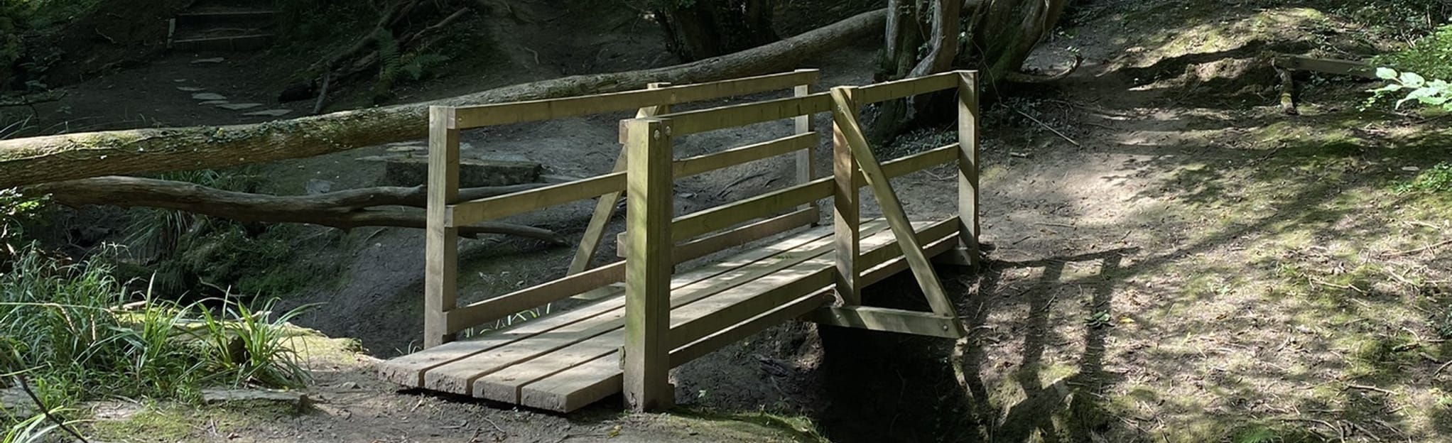 Charlwood Circuit: 34 Reviews, Map - Surrey, England | AllTrails