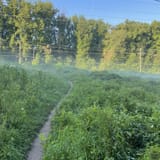 Cabin John Trail: Tuckerman Lane to MacArthur Boulevard, Maryland - 294 ...