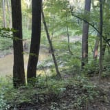 Cabin John Trail: Tuckerman Lane to MacArthur Boulevard, Maryland - 294 ...