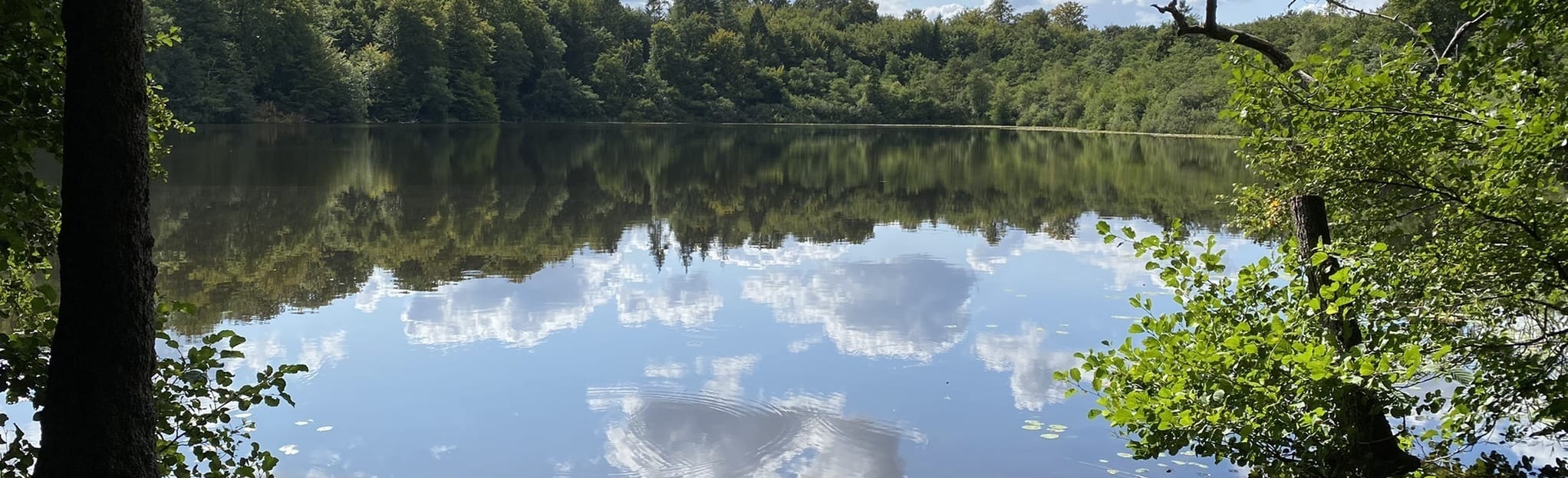Bidstrup Skovene - Avnsø - Gyldenløves Høj, Region Zealand, Denmark ...