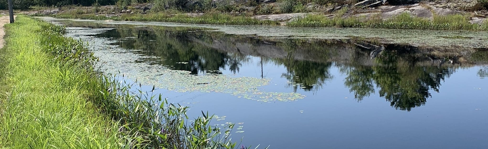 Medora Creek Trail, Ontario, Canada - 6 Reviews, Map | AllTrails