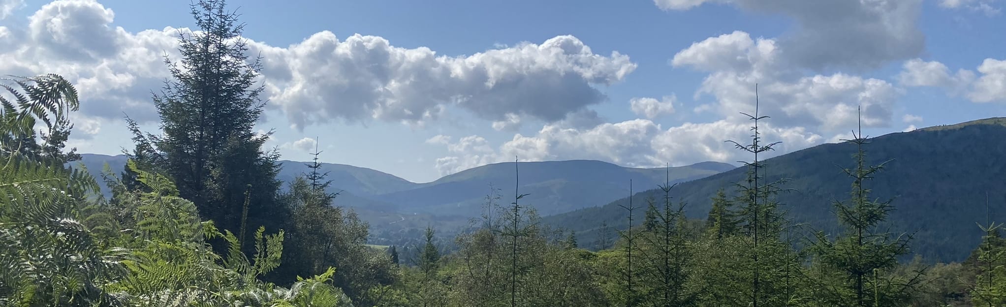 Puck's Glen Gorge Trail, Argyll and Bute, Scotland - 168 Reviews, Map ...