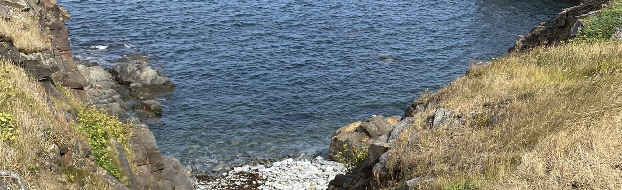 Elliston Puffin Colony: 69 Reviews, Map - Newfoundland and Labrador ...