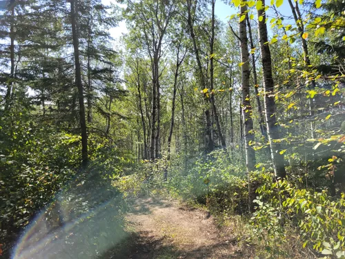 2023 Best Lake Trails in Candle Lake Provincial Park | AllTrails