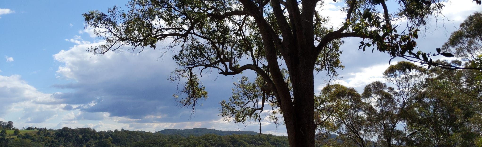 Witta Fire Trail, Queensland, Australia - 3 Reviews, Map | AllTrails