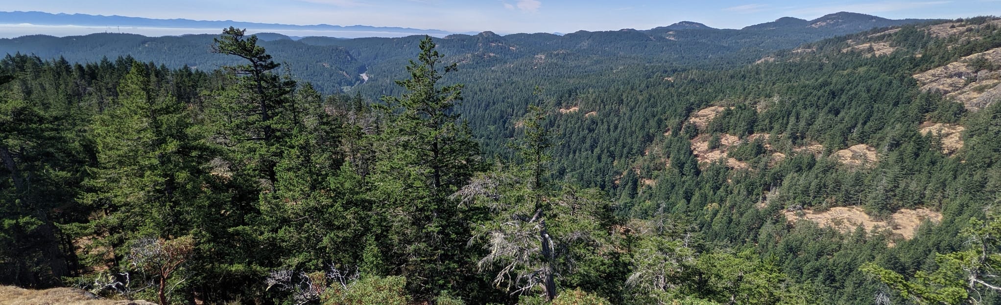 Ravens View Park via Mount Wells and Flatty Hill: 10 Reviews, Map ...