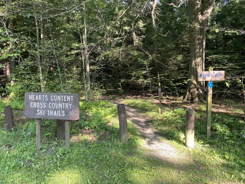 Best Hikes and Trails in Hearts Content Recreation Site | AllTrails