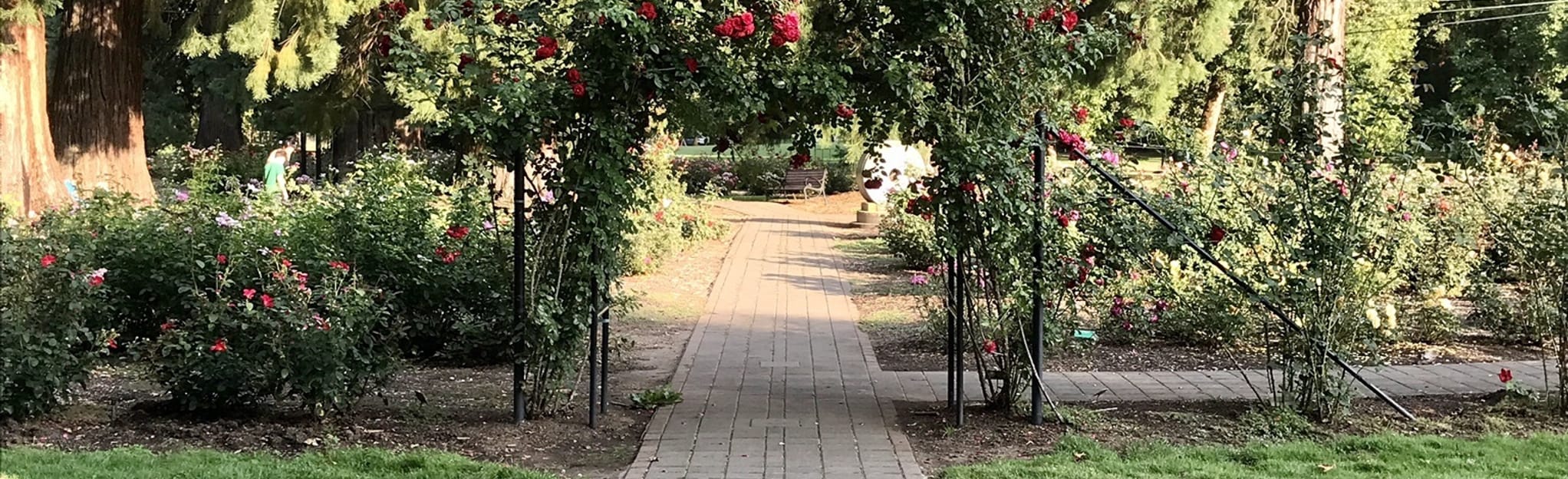 Avery Park Loop: 111 Reviews, Map - Oregon | AllTrails