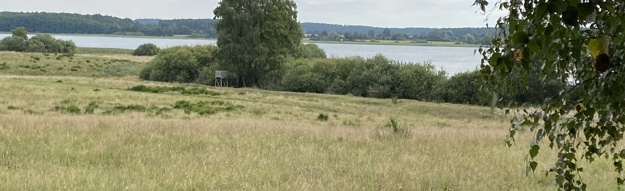 Rundgang um den Garder See: 8 Fotos - Mecklenburg-Vorpommern ...