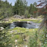 Angleworm Lake Trail, Minnesota - 108 Reviews, Map | AllTrails