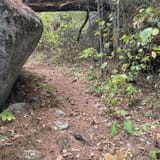 Angleworm Lake Trail, Minnesota - 108 Reviews, Map | AllTrails