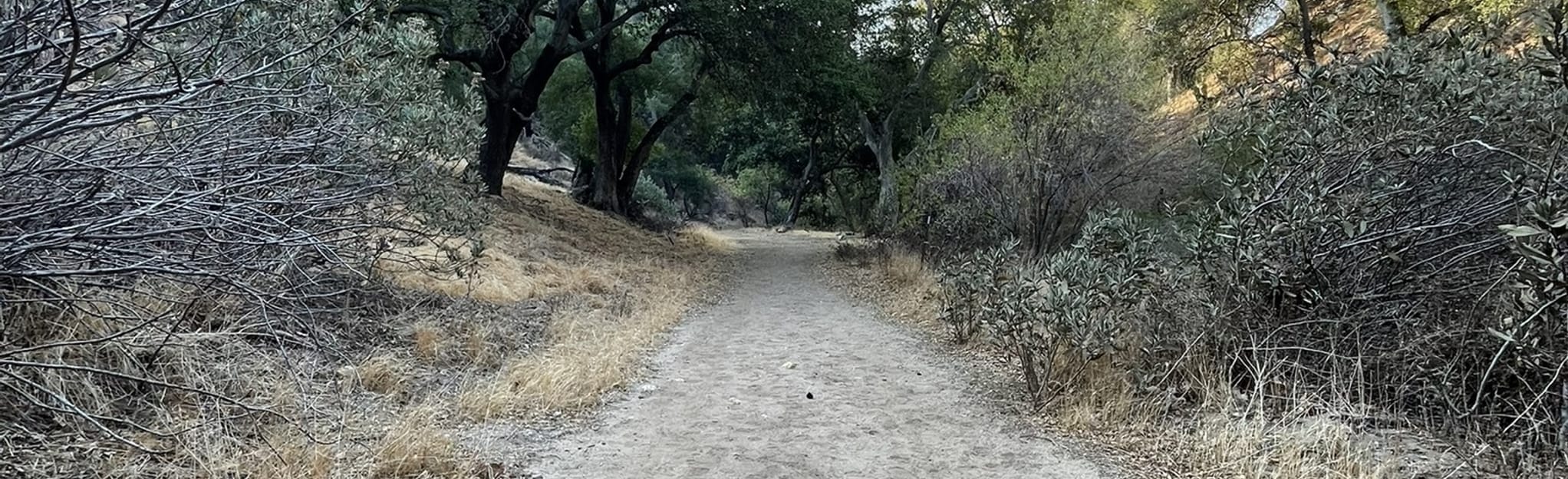 Elsmere Canyon Road Loop, California - 301 Reviews, Map | AllTrails