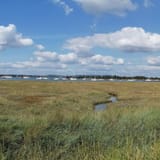 Itchenor Circular, West Sussex, England - 207 Reviews, Map | AllTrails