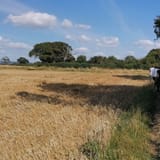 Itchenor Circular, West Sussex, England - 207 Reviews, Map | AllTrails
