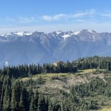 Klahhane Ridge Trail to Lake Angeles, Washington - 265 Reviews, Map ...