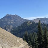 Klahhane Ridge Trail to Lake Angeles, Washington - 265 Reviews, Map ...